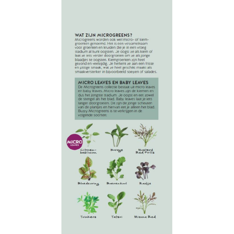 Pieterpik : Brochure Buzzy Microgreens Ned.