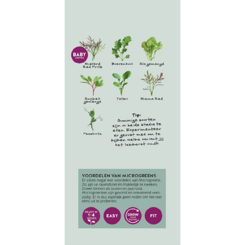 Pieterpik : Brochure Buzzy Microgreens Ned.