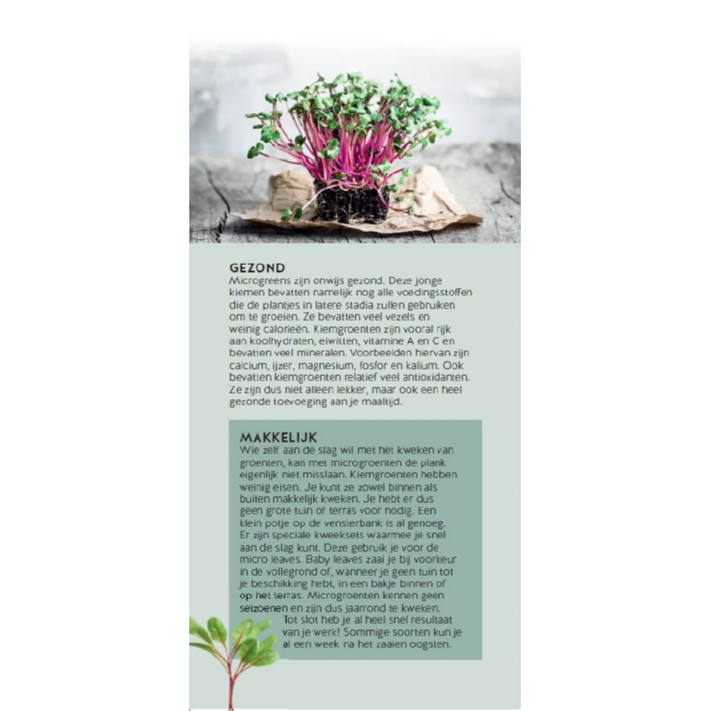 Pieterpik : Brochure Buzzy Microgreens Ned.