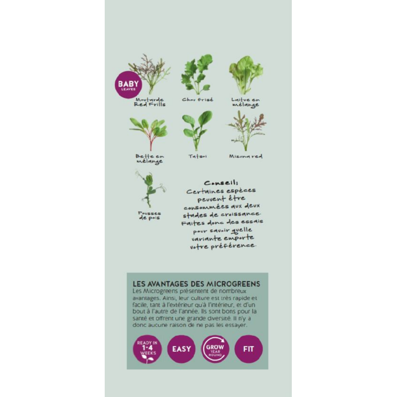 Pieterpik : Brochure Buzzy Microgreens Fr.
