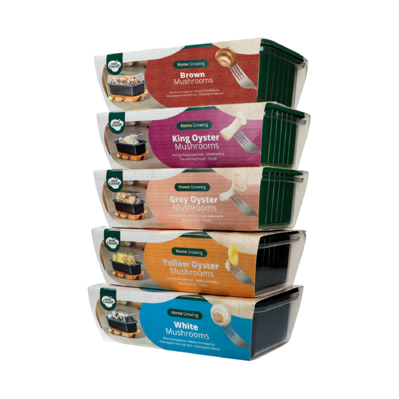 Pieterpik : Mini Champ Home Growing Witte champignons
