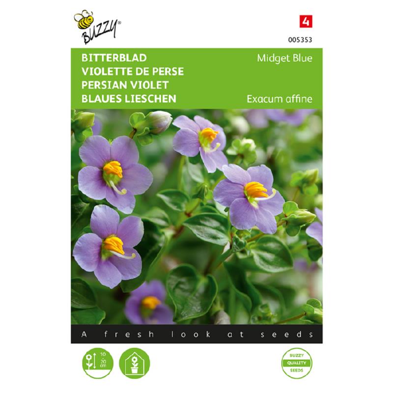 Pieterpik : Buzzy® Exacum, Bitterblad Midget Blue